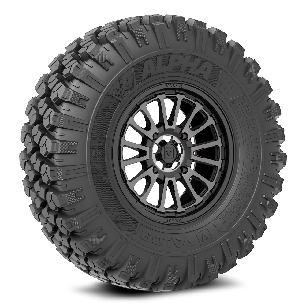 V14 Dark Tint UTV Wheel and Alpha A/T Tire Kit – Pivotal Motorsports